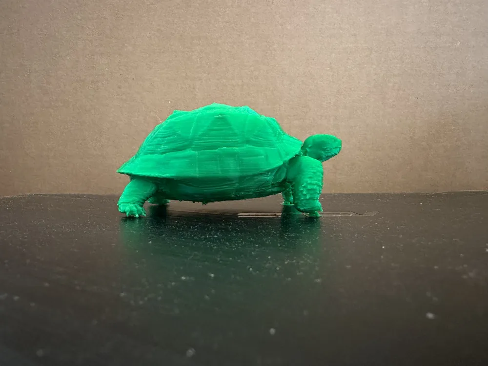 Tortoise by user_1996802999 MakerWorld: Download Free 3D Models