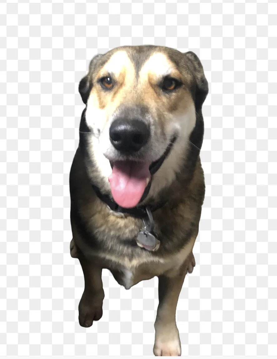 Charlie Statue by Djrockhog21 MakerWorld: Download Free 3D Models