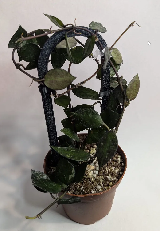 U Shaped Plant Trellis - Customizable/Parametric - Free 3D Print Model ...