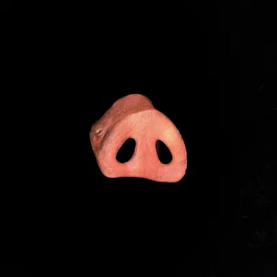 Wearable pig nose - Free 3D Print Model - MakerWorld