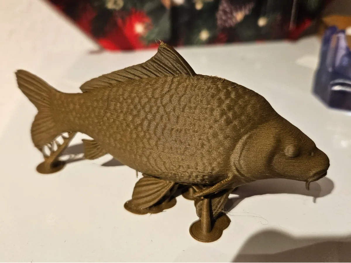 Carp - Free 3D Print Model - MakerWorld