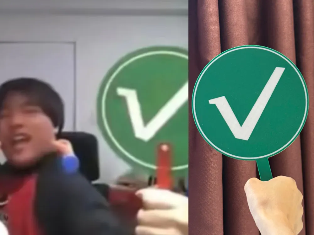 Tao Hei Hei-style Correct/Incorrect Emoji Handheld Sign, Right/Wrong ...