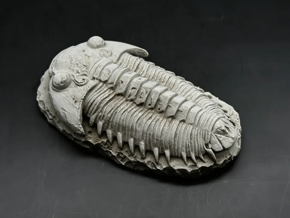 Trilobite - Free 3D Print Model - MakerWorld