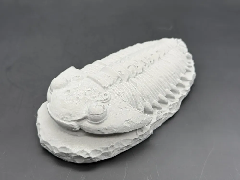 Trilobite - Free 3D Print Model - MakerWorld