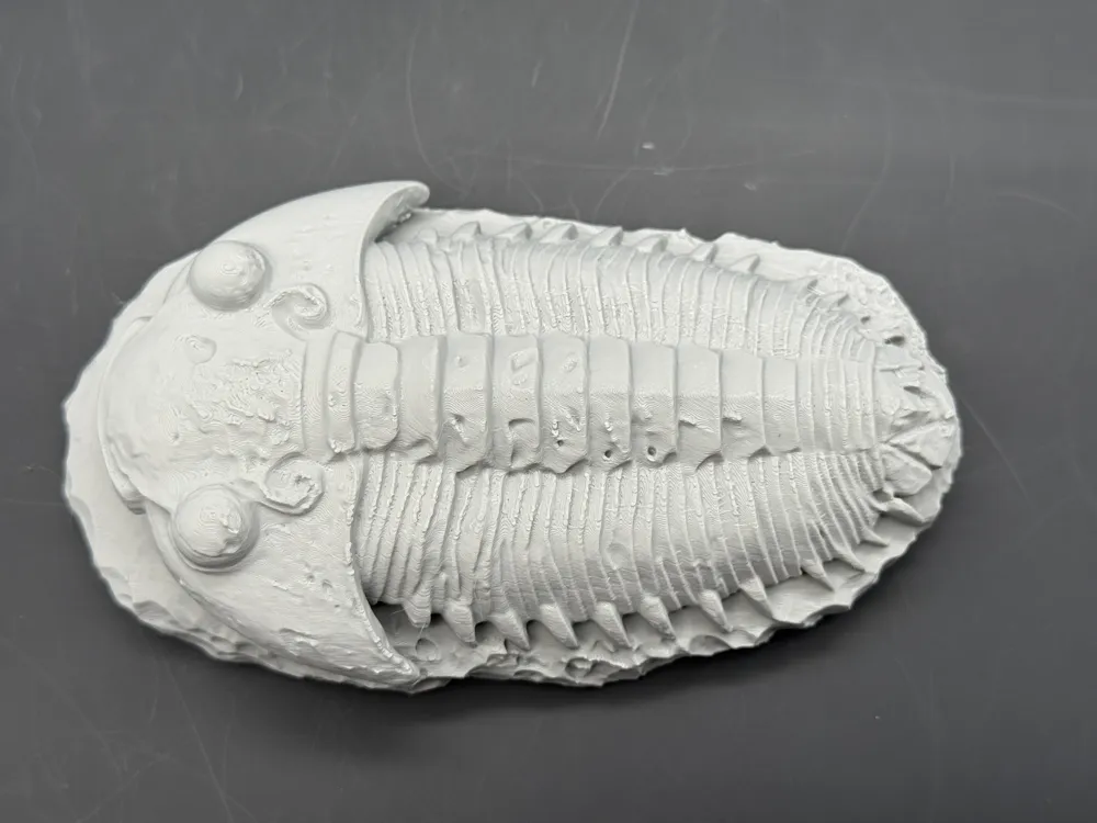 Trilobite - Free 3D Print Model - MakerWorld
