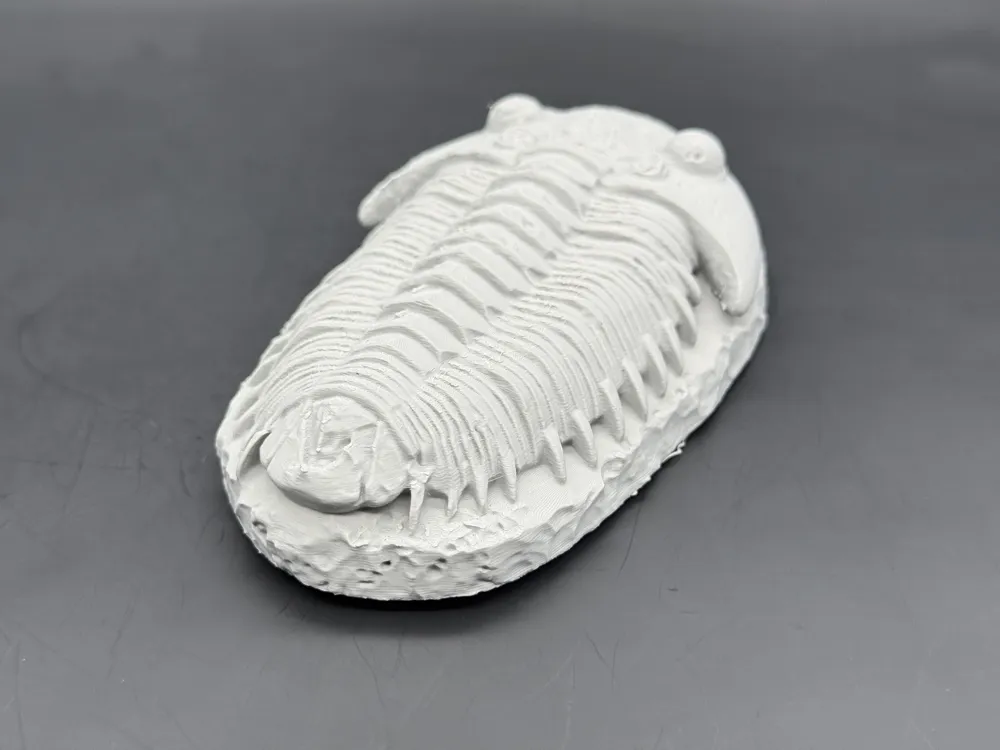 Trilobite - Free 3D Print Model - MakerWorld