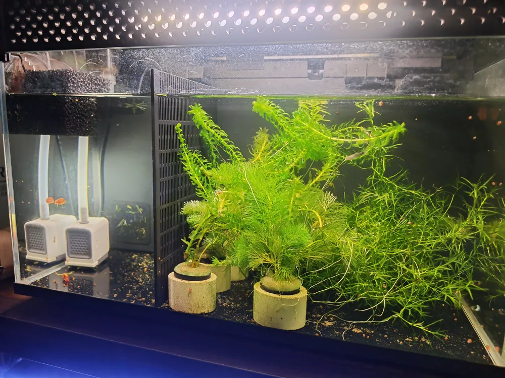 Xiaomi fish tank isolation board - Free 3D Print Model - MakerWorld