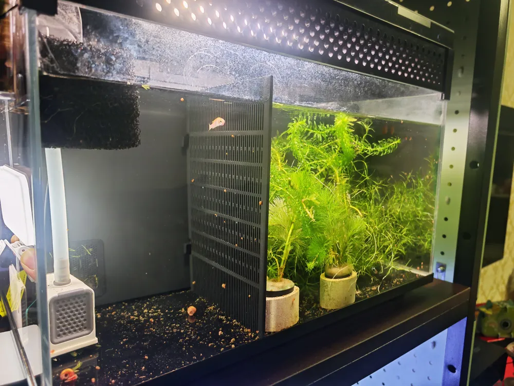 Xiaomi fish tank isolation board - Free 3D Print Model - MakerWorld