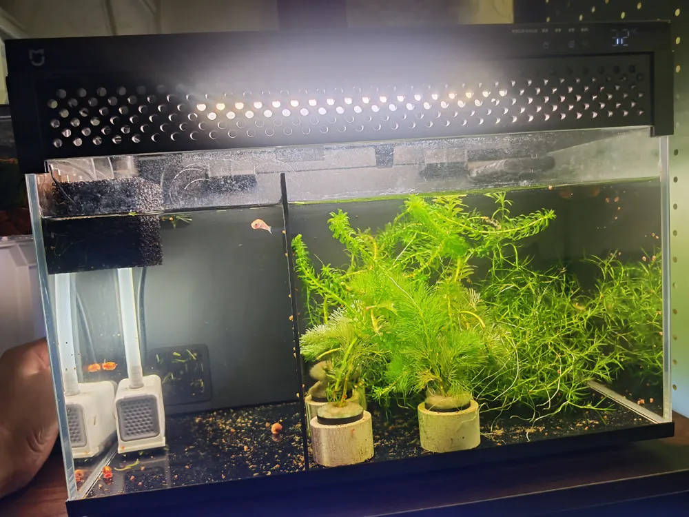 Xiaomi fish tank isolation board - Free 3D Print Model - MakerWorld