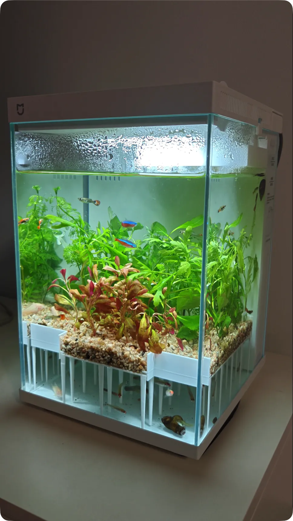 Xiaomi Fish Tank 2nd Gen Bottom Filter - Undercurrent (for the A1 mini ...