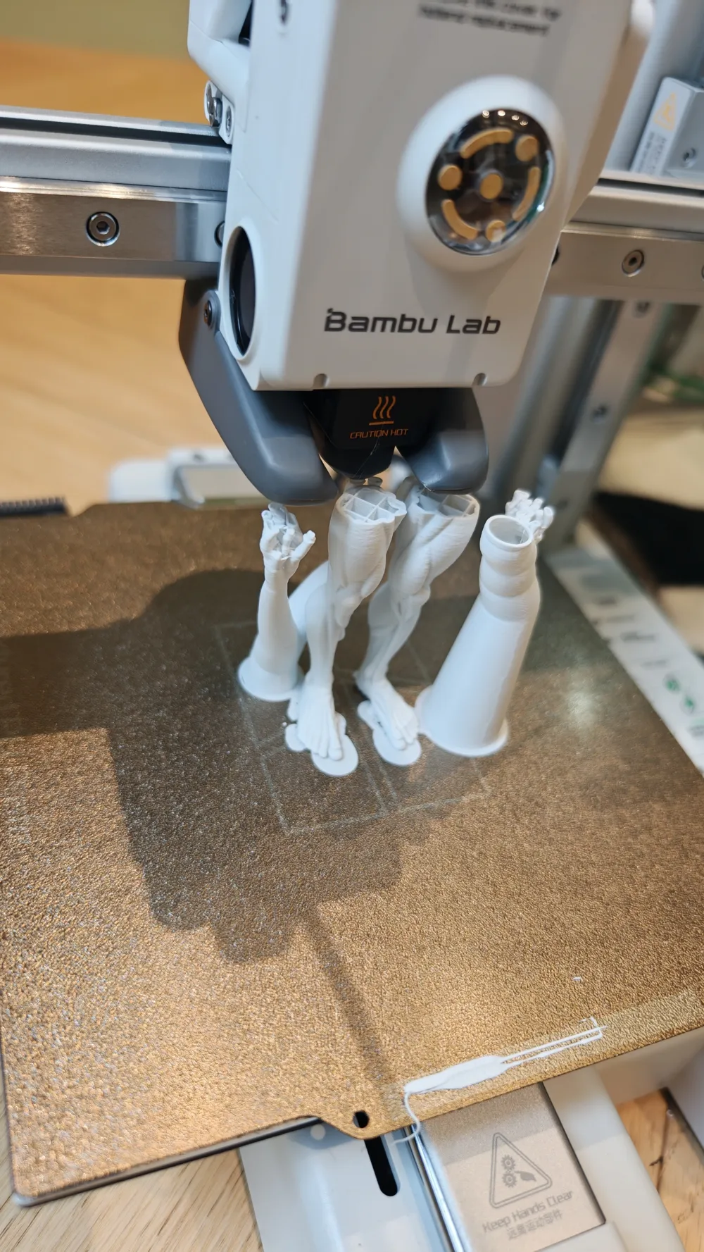 Human Muscle Tissue Model Diagram - Free 3D Print Model - MakerWorld