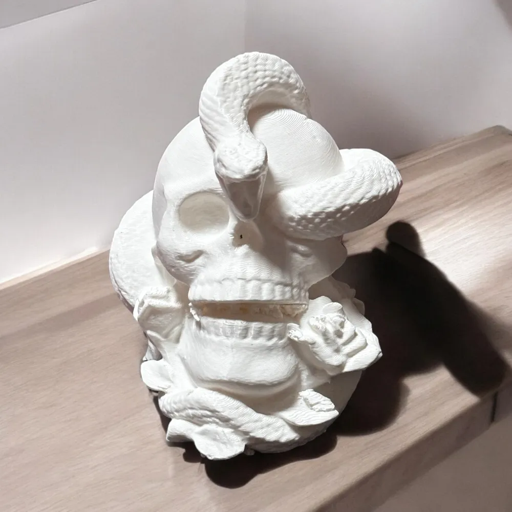Skull with snakes 3d scan - Free 3D Print Model - MakerWorld