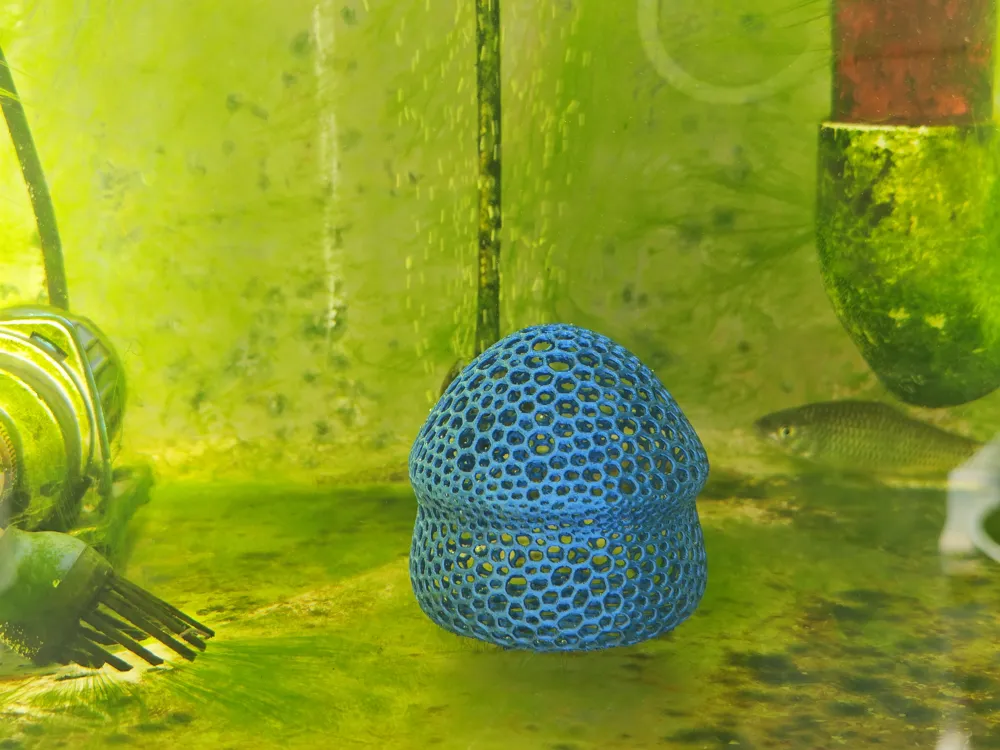 Hollow fish tank hideout - Free 3D Print Model - MakerWorld