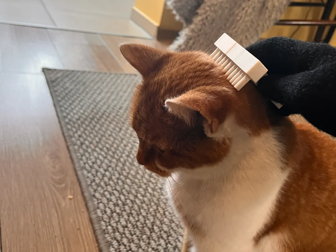cat rake - Free 3D Print Model - MakerWorld