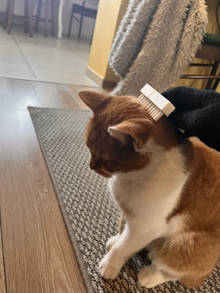 cat rake - Free 3D Print Model - MakerWorld