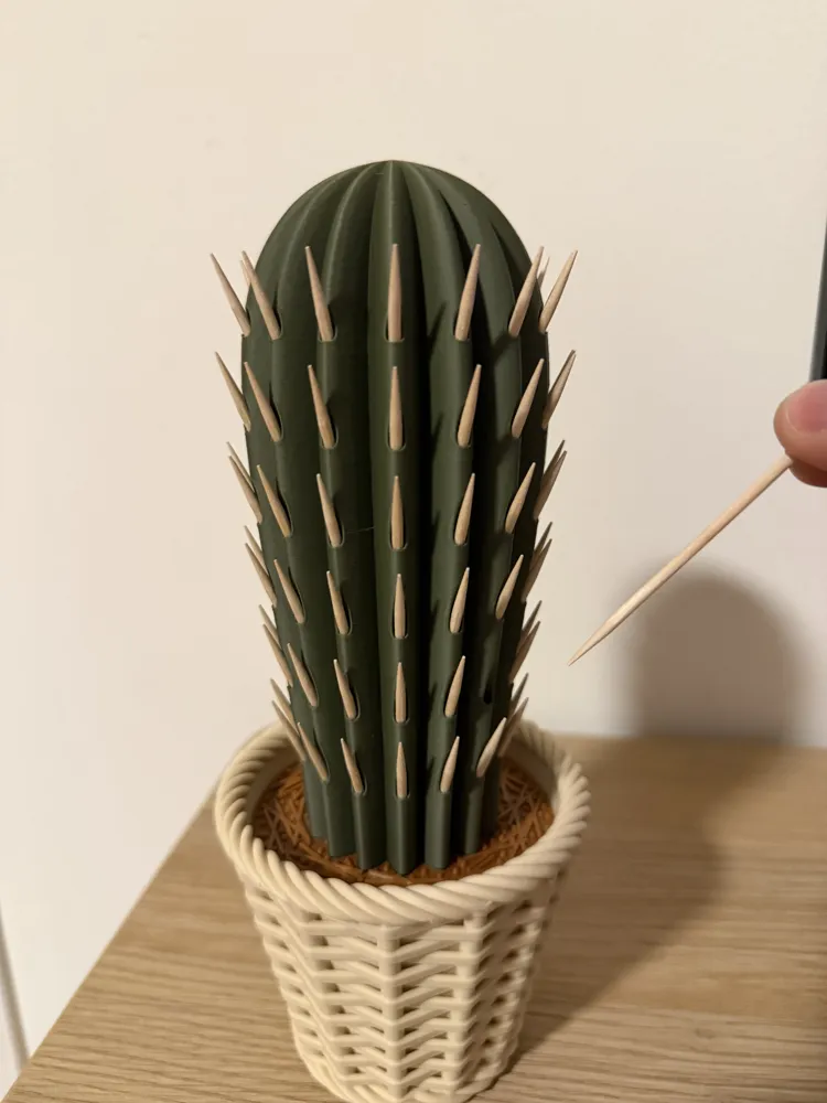 Cactus Toothpick holder - Free 3D Print Model - MakerWorld