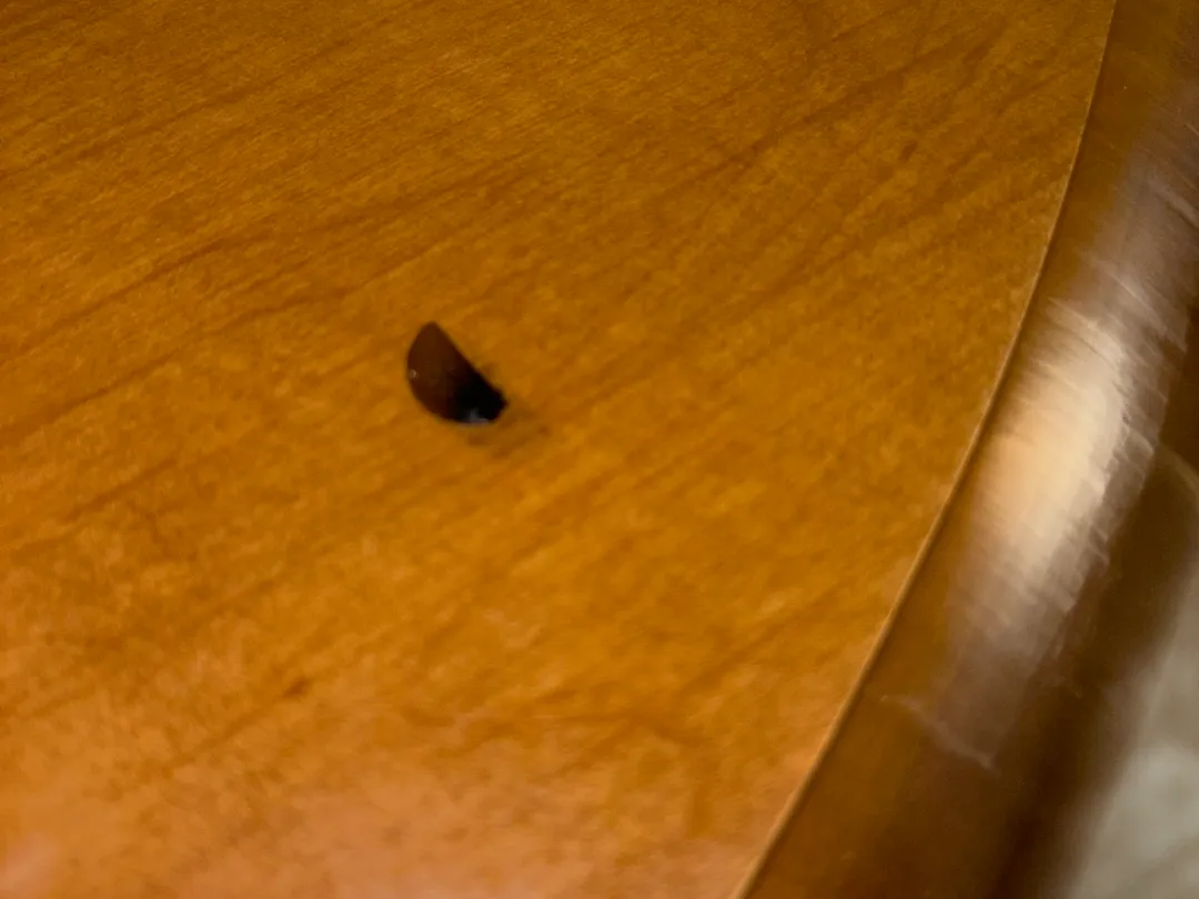 Semicírculo Plano - Modelo de impresión 3D gratuito - MakerWorld