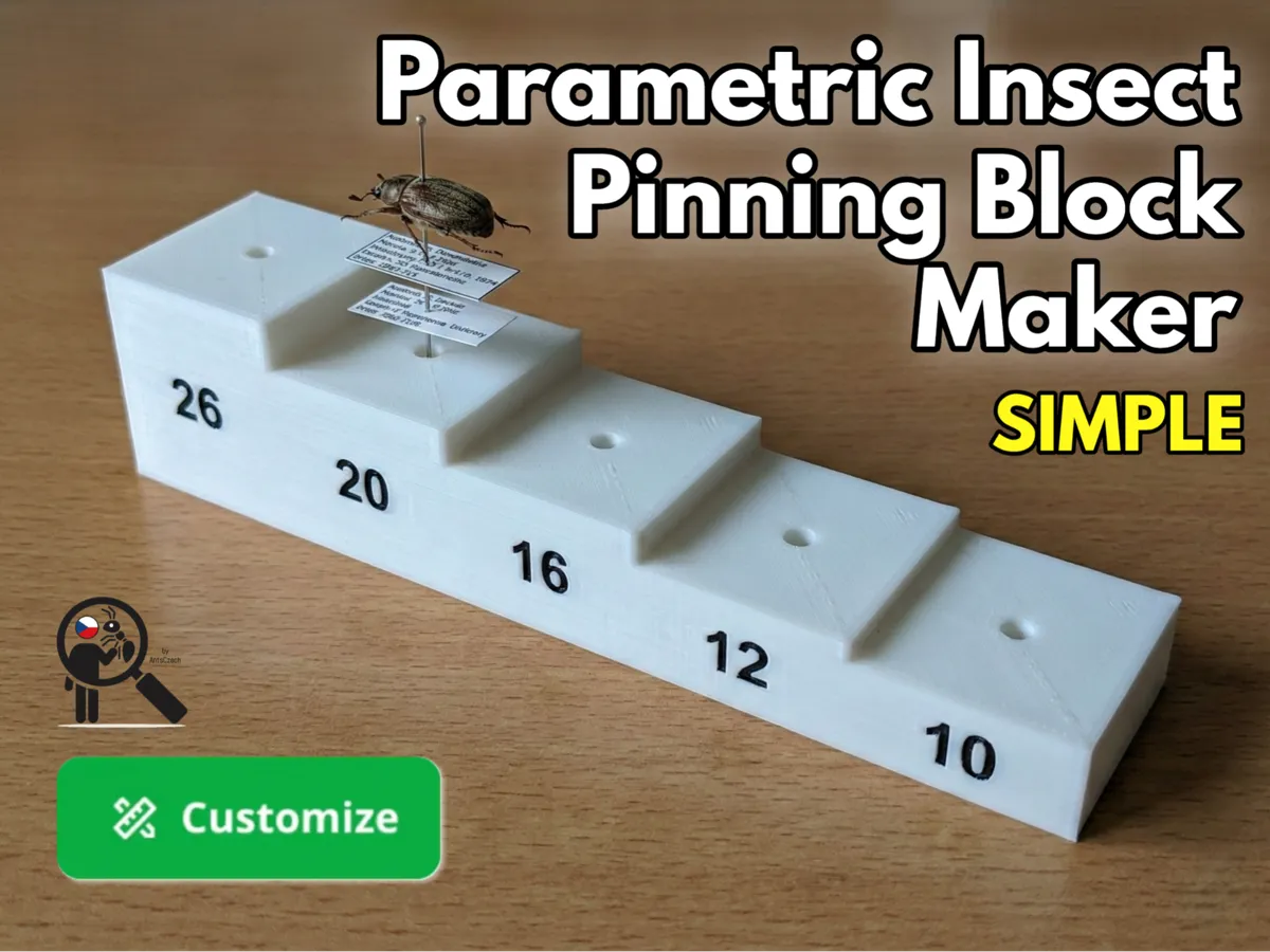 Parametric Insect Pinning Block - Simple - Free 3D Print Model - MakerWorld
