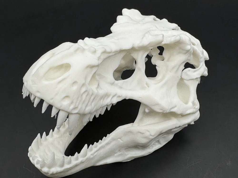 T-Rex skull fossil - Free 3D Print Model - MakerWorld