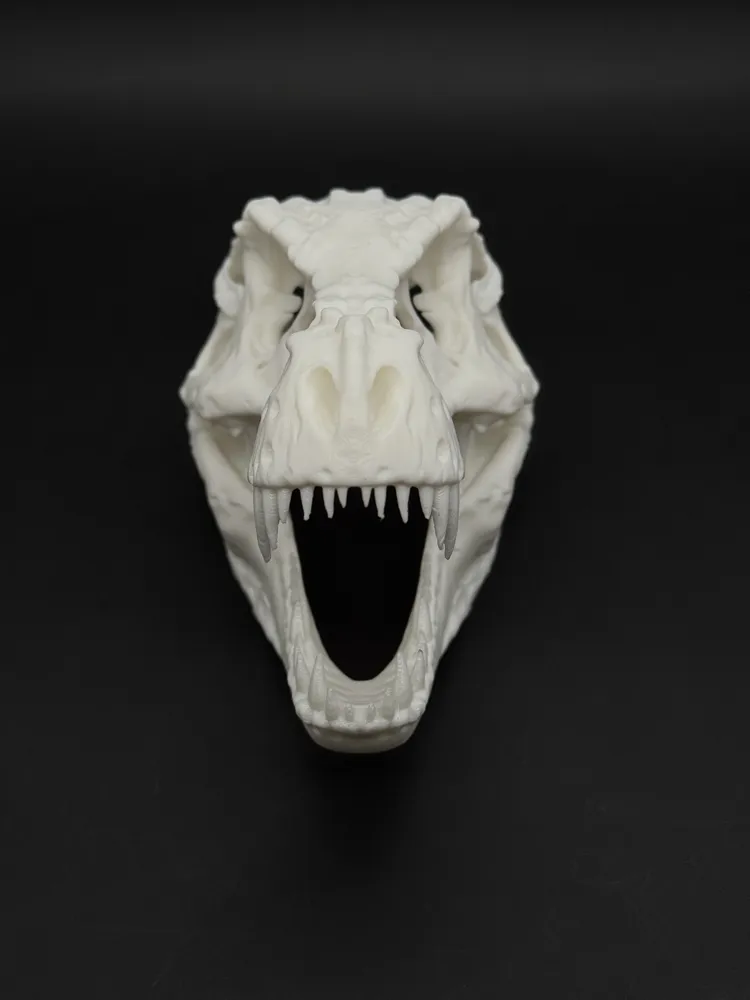 T-Rex skull fossil - Free 3D Print Model - MakerWorld