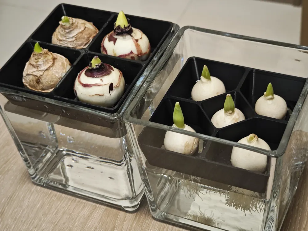 Hyacinth Hydroponic Frame - Free 3D Print Model - MakerWorld