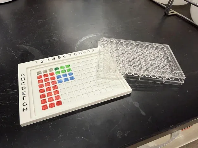 Microplate Template - Free 3D Print Model - MakerWorld