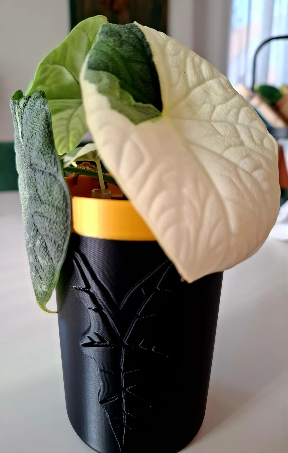 Planter Nobilis Logo with viewing window - Free 3D Print Model - MakerWorld