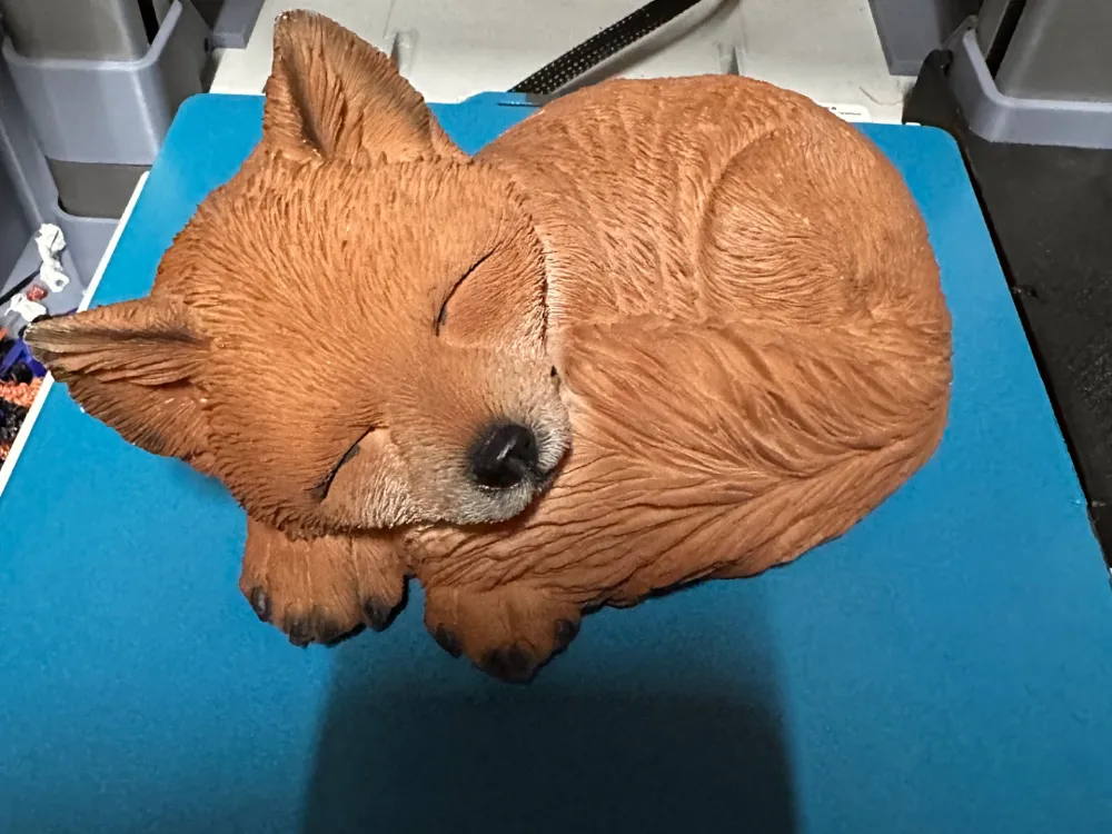 Scan 3D Renard endormi - Modèle d'Impression 3D Gratuit - MakerWorld