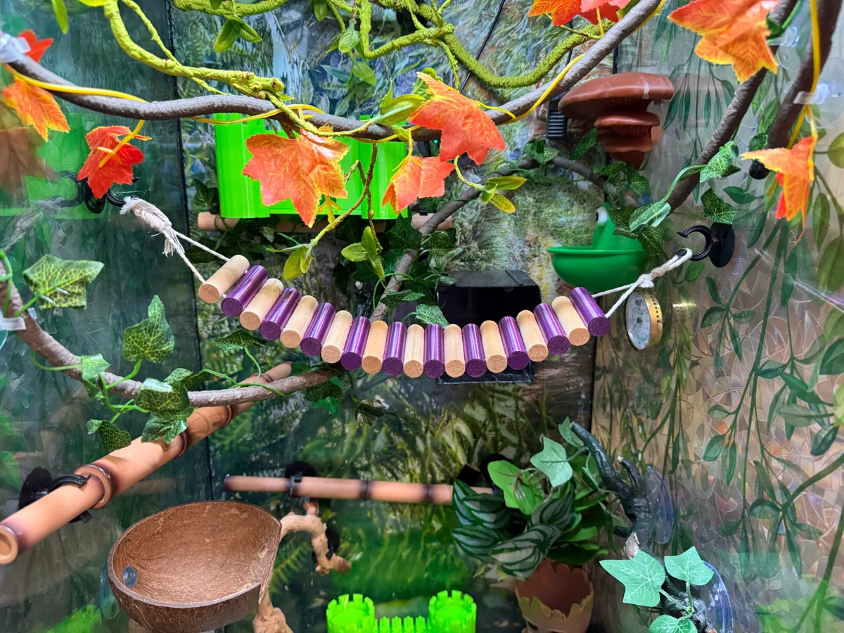 Reptile Bridge - Free 3D Print Model - MakerWorld