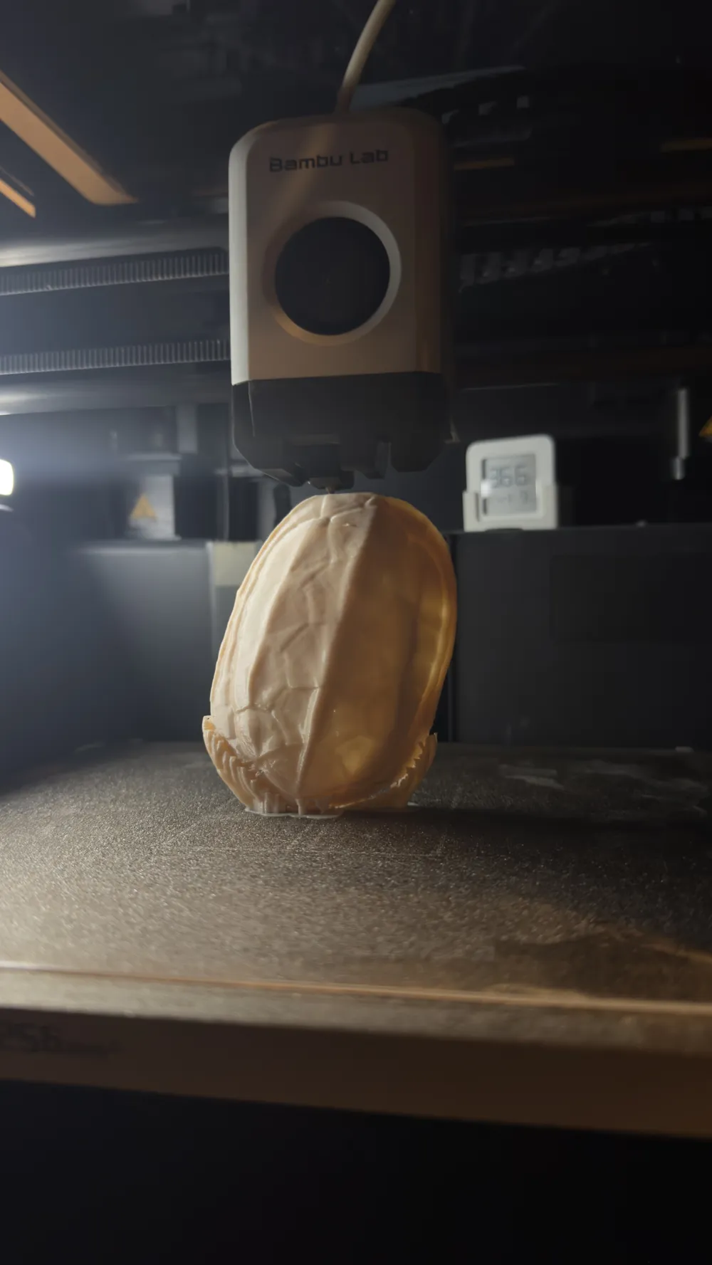 Turtle Shell Chazhe - Free 3D Print Model - MakerWorld