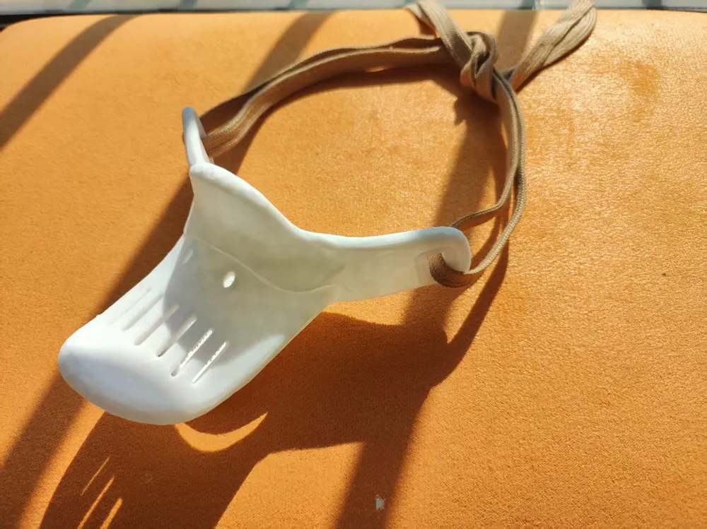 Duck Beak Cover - Free 3D Print Model - MakerWorld