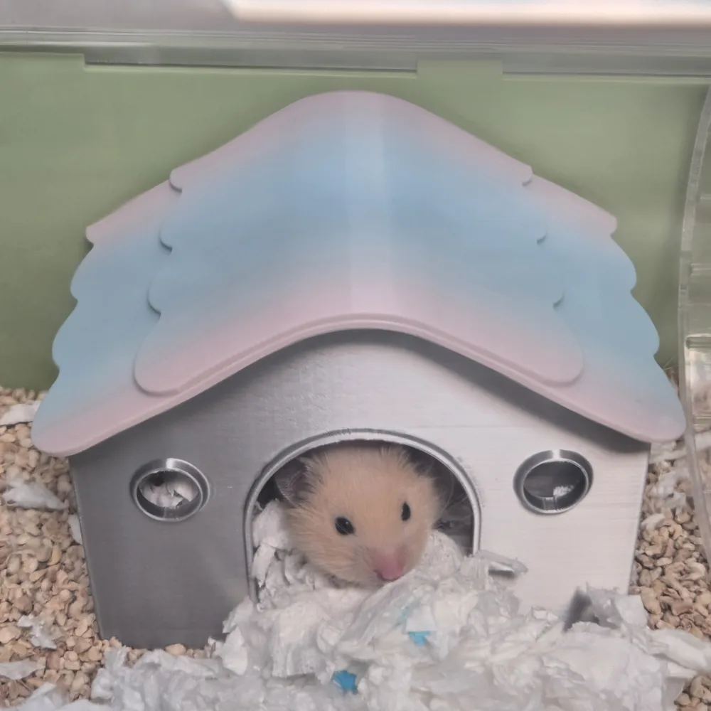 Hamster house - Free 3D Print Model - MakerWorld