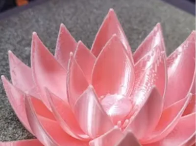 Lotus flower - Free 3D Print Model - MakerWorld