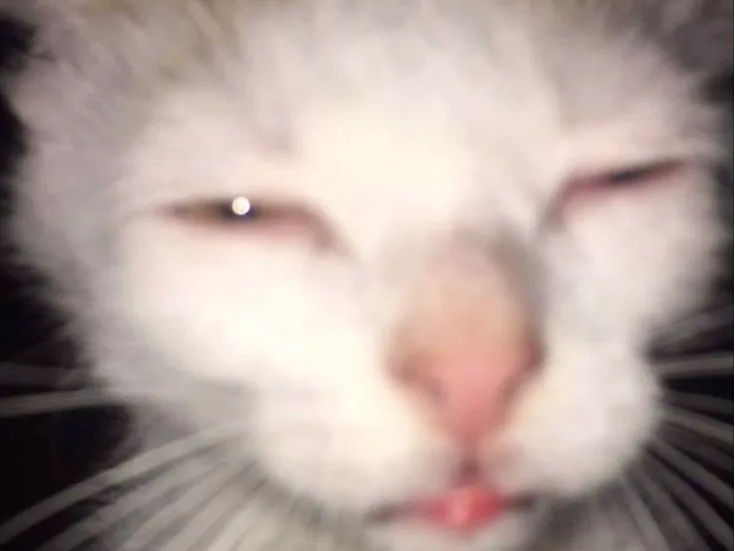 USE THIS ONE fnaf stage dummy 13 - Free 3D Print Model - MakerWorld