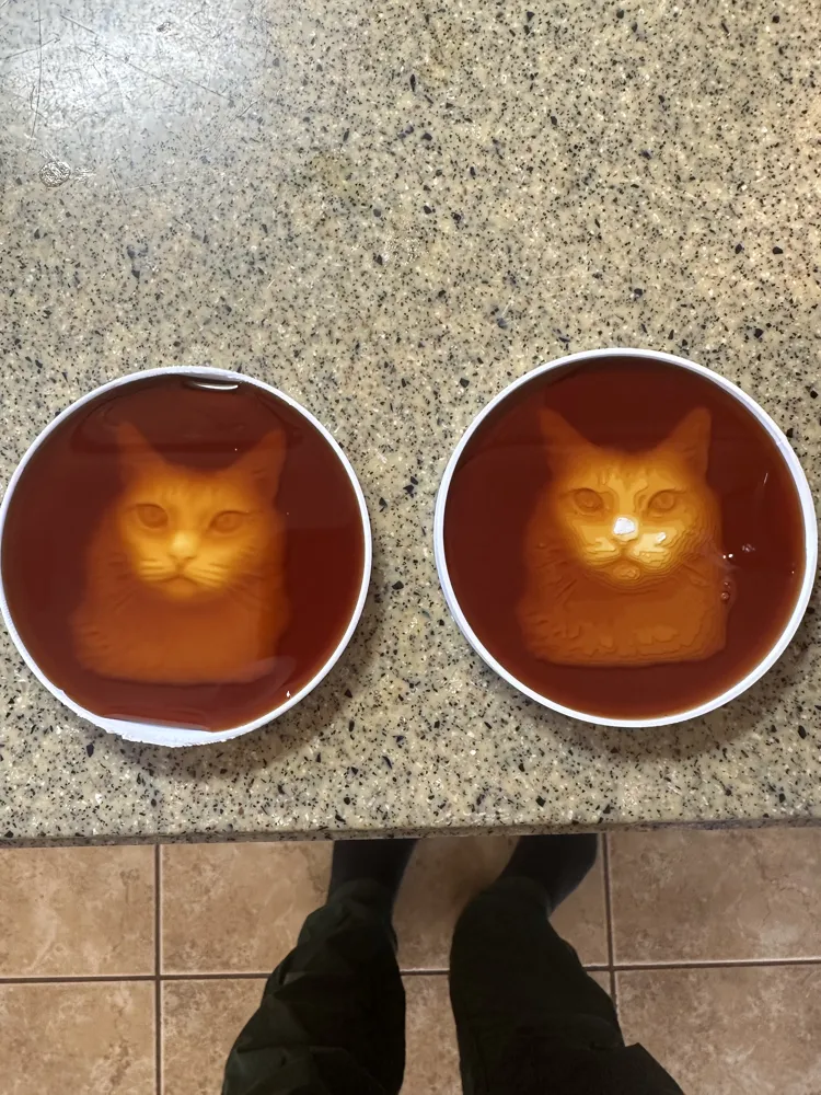 Soy Sauce Relief Blanks and Container - Free 3D Print Model - MakerWorld