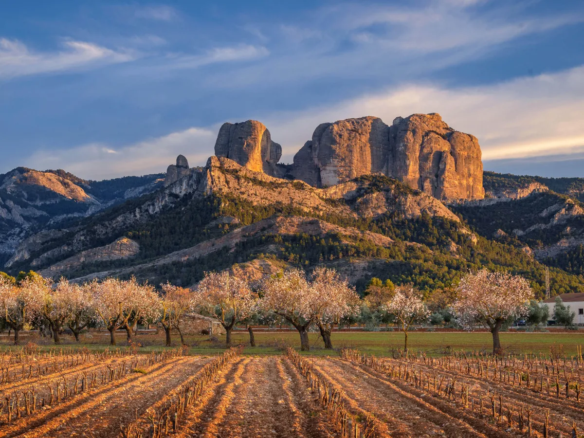 PVC T-Verbinder für Wiffleball-Strike-Zone – Kostenloses 3D-Druckmodell ...