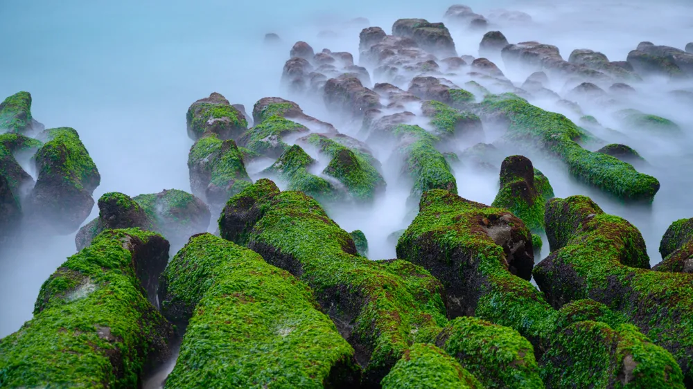 PVC T-Verbinder für Wiffleball-Strike-Zone – Kostenloses 3D-Druckmodell ...