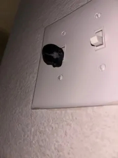 light switch cover (dwayne the rock Johnsons head) - Free 3D Print ...