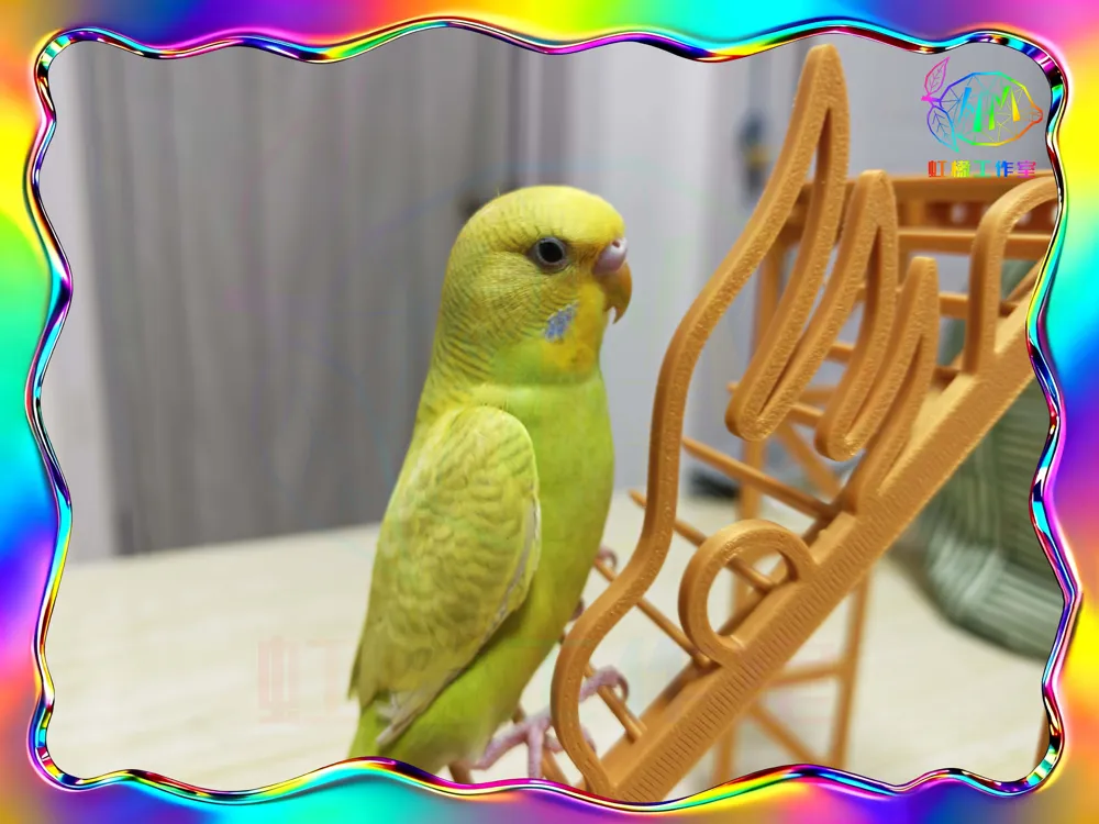 Fairy Tale House Pet Climbing Ladder (Compatible with birds, parrots ...