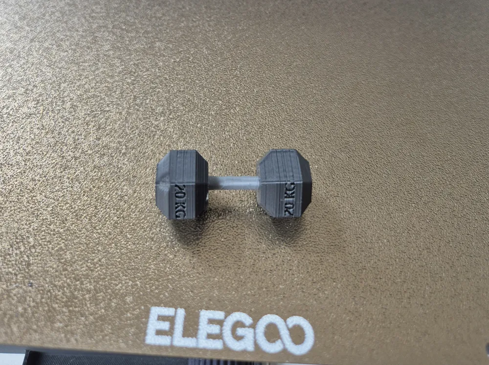 Dumbbells for Dummy 13 - Free 3D Print Model - MakerWorld