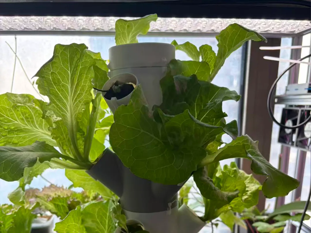 Torre hidropónica apta para cultivo en balcón - Modelo de impresión 3D ...