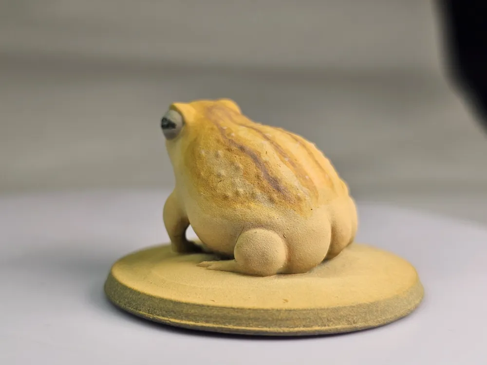Desert rain frog (cute frog model) - Free 3D Print Model - MakerWorld