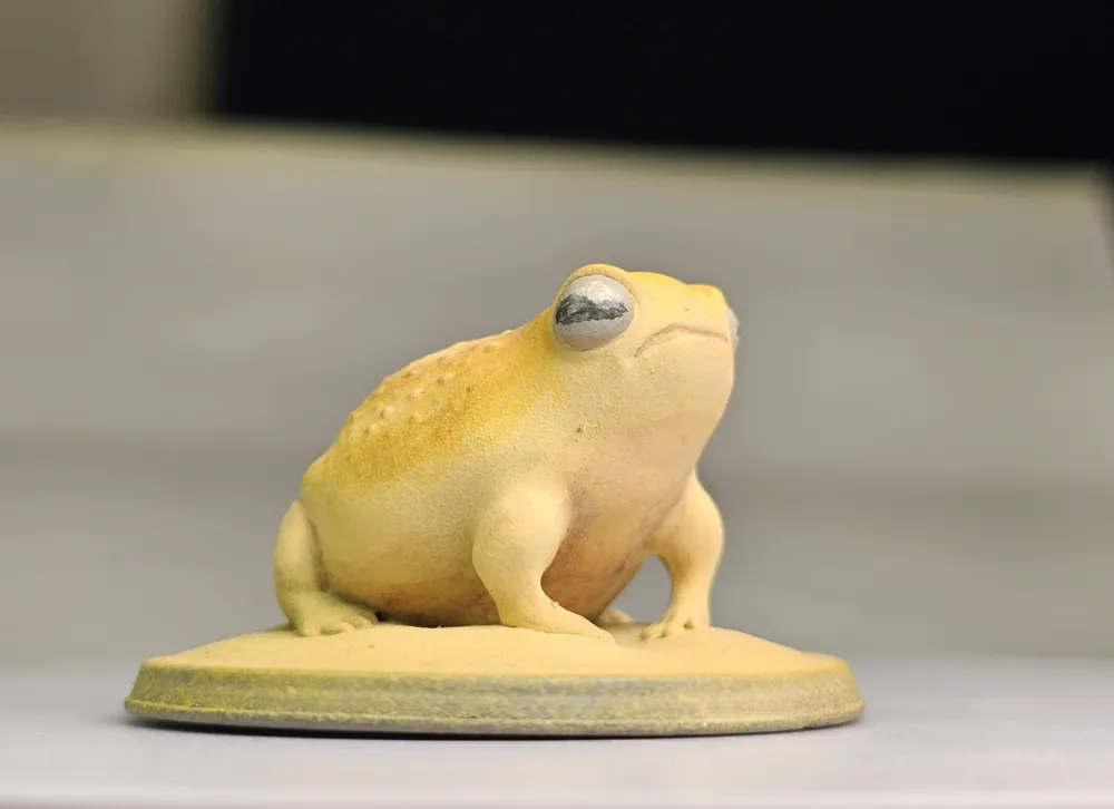 Desert rain frog (cute frog model) - Free 3D Print Model - MakerWorld