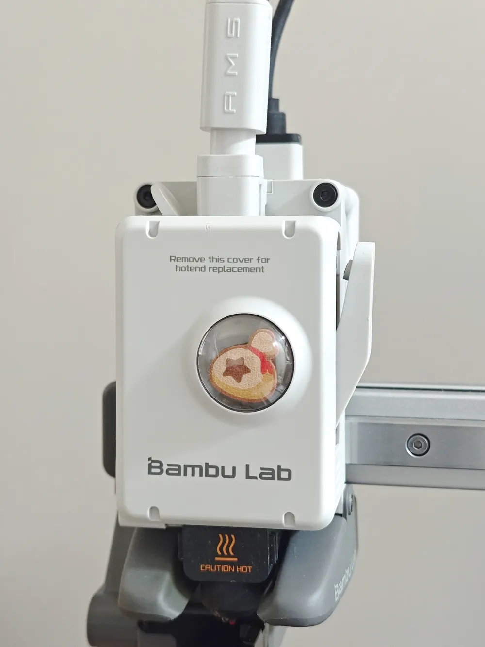 Máquina de dolor de bola de pescado - Logo de la cubierta frontal del ...