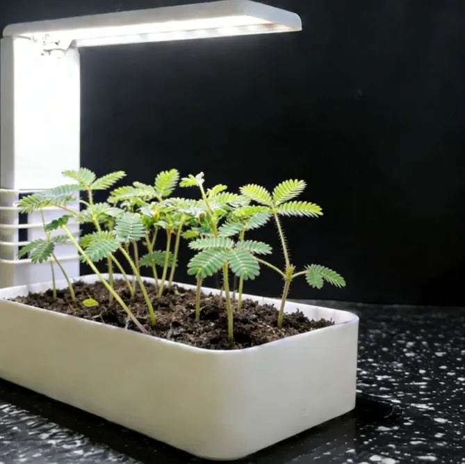 Seedling Tray | Built-in LED Strip Slot to Aid Plant Growth - Free 3D ...