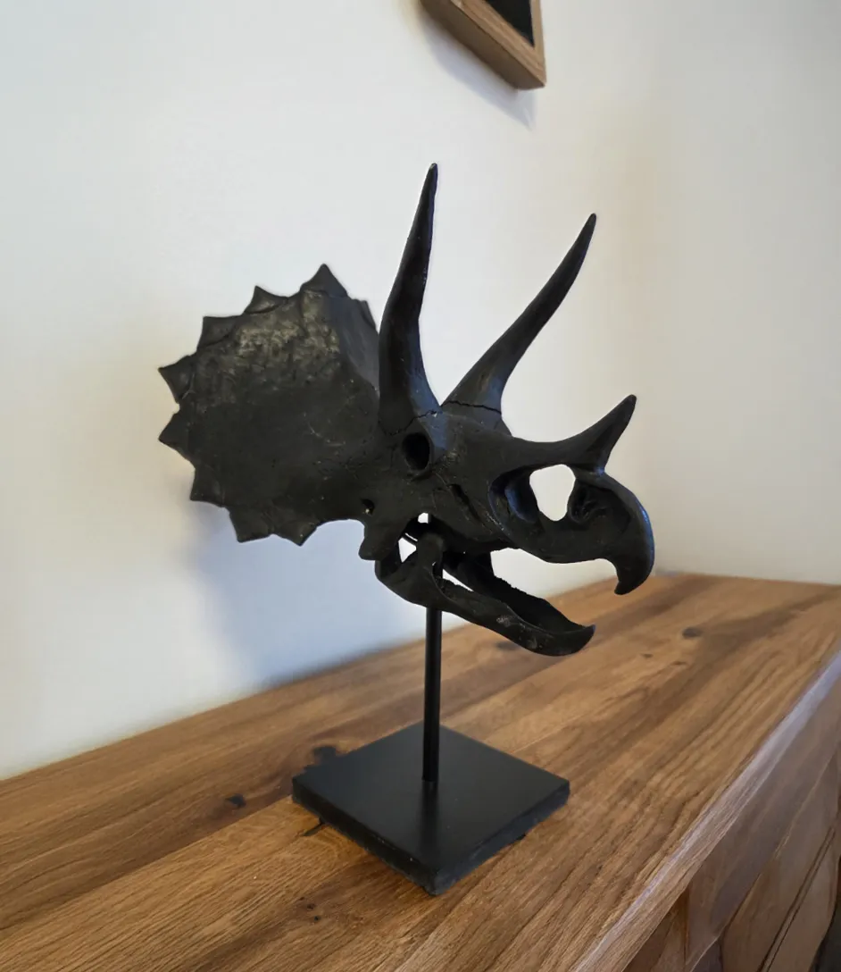 Triceratops Skull - Decorative Art - Free 3D Print Model - MakerWorld