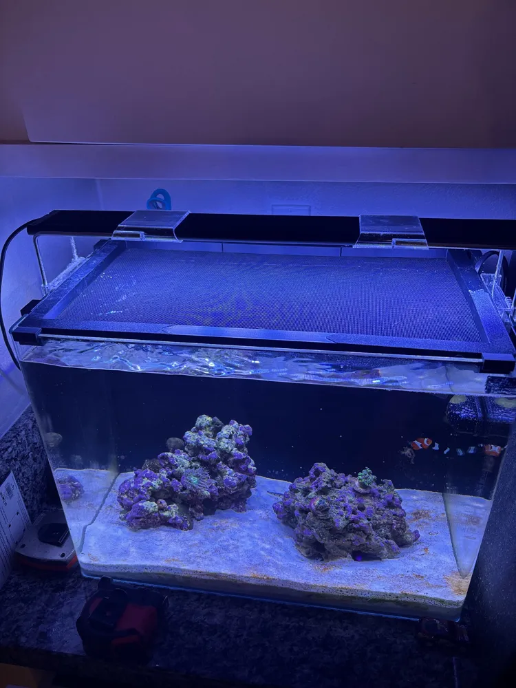 Aqua Japan 17 Gallonen All-in-One Aquarienaufsatz – Kostenloses 3D ...