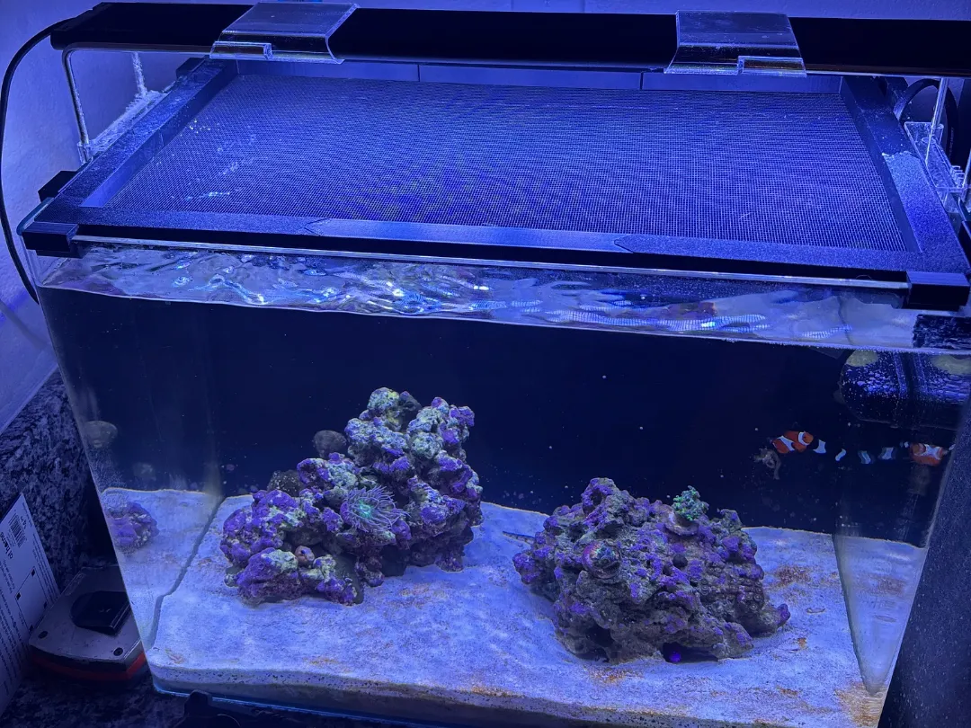 Aqua Japan 17 Gallonen All-in-One Aquarienaufsatz – Kostenloses 3D ...