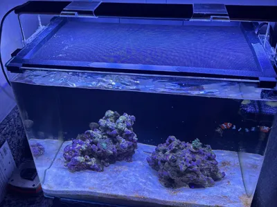 Aqua Japan 17 Gallonen All-in-One Aquarienaufsatz – Kostenloses 3D ...