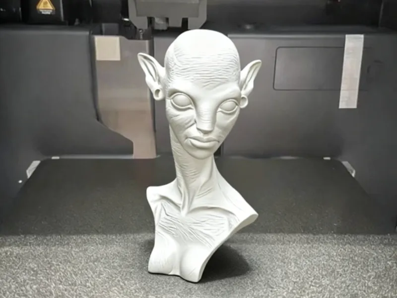 Avatar Bust - Free 3D Print Model - MakerWorld